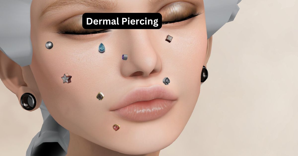 Types of Body Piercings – With Pictures - Pierce Now