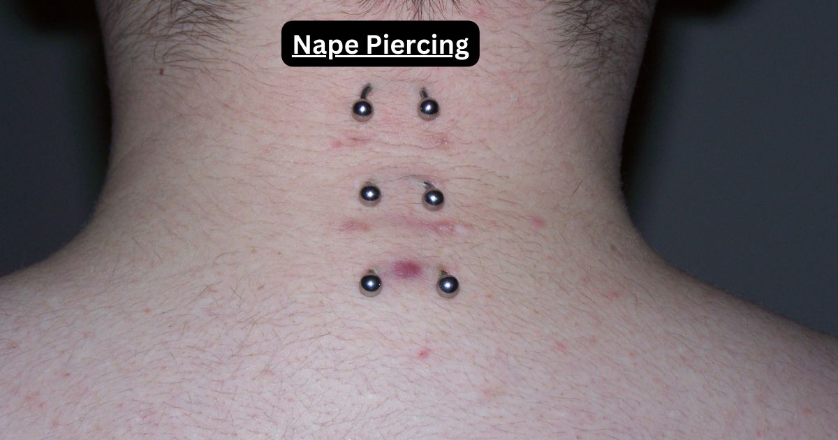 Types of Body Piercings – With Pictures - Pierce Now