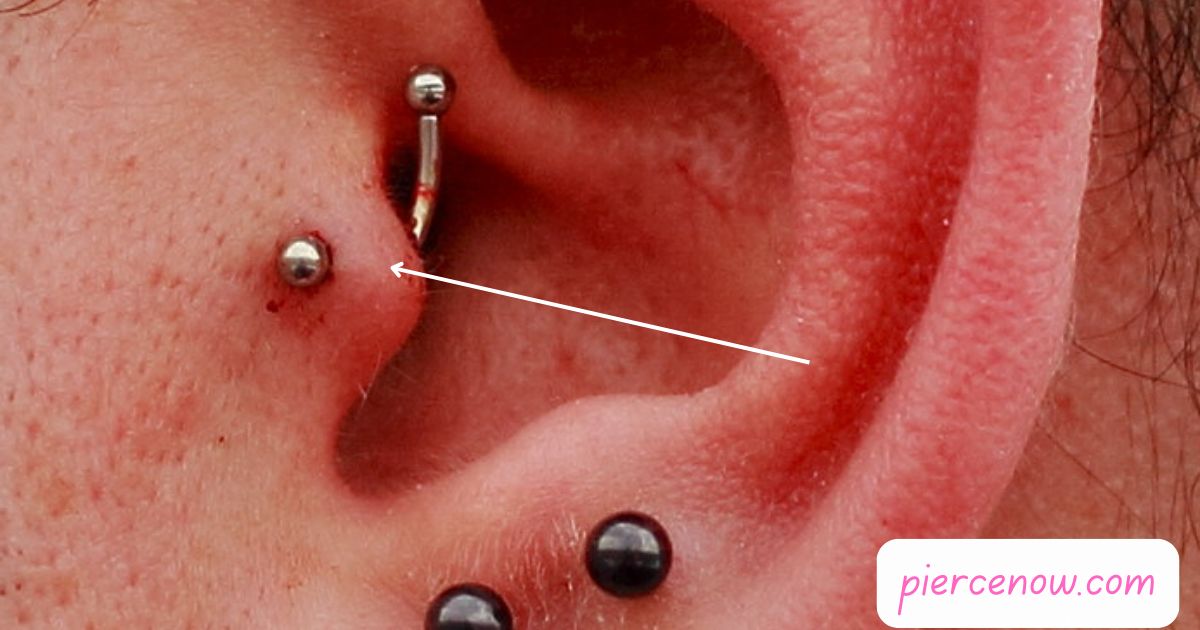 Tragus Piercing Benefits: What You Need to Know - Pierce Now